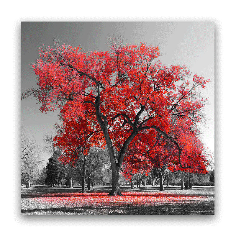 Winston Porter 'The Big Red Tree on a Black and White Landscape' Photographic Print on Wrapped ...